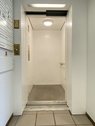 Lægerne 2920 - Mads Klem Thomsen & Volker Scheele — Godadgang