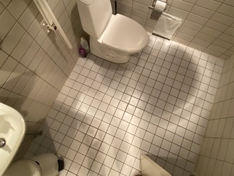 Lægerne 2920 - Mads Klem Thomsen & Volker Scheele — Godadgang